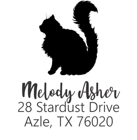 Fluffy Cat The Plaid Barn