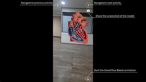 Github Dhairyapandya05humananatomyusingar Human Anatomy Using Ar Augmented Reality