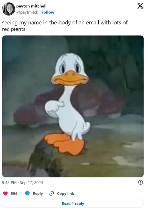 The ‘sad Duck Pointing At Himself Meme Explained