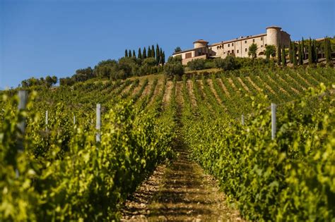 Collemassari Winery And Wines Gambero Rosso International