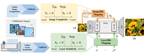 Thinking In Granularity Dynamic Quantization For Image Super