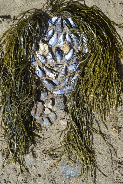 Art Blog Emily Warnock