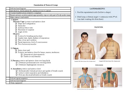 Respiratory Assessment Free Cheat Sheet Pempaw