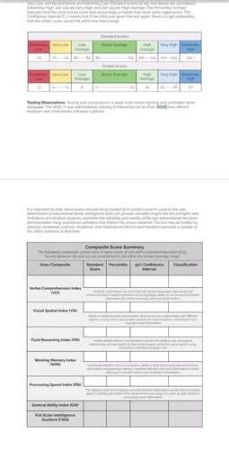 Wisc V Report Template Older Version By Takingwiscs Tpt