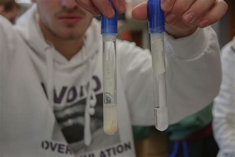 Bioprospecting For Cellulose Degrading Microbes Filter Paper Assay Method Great Lakes