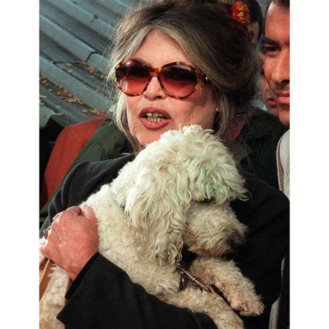Brigitte Bardot And Sophia Loren At 75