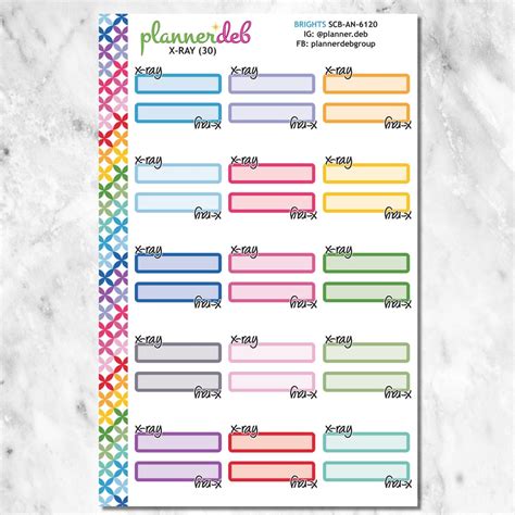 X Ray Script Label Planner Stickers For Erin Condren Planner Daily Duo