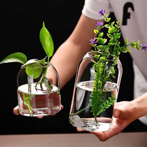 Vase à Fleurs En Verre Pour Plantes Hydroponiques Créatives Bouteille Moderne Et Simple Pour