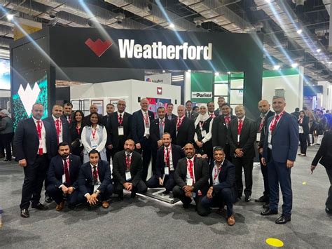 Noha Mohamed On Linkedin Egyptenergyshow