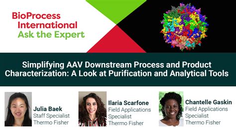 Simplifying Aav Downstream Process And Product Characterization A Look At Purification And