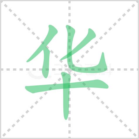 华的笔顺 解说华的笔顺及华的笔画顺序怎么写！ 学前教育资源网