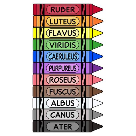 Colors In Latin Colors Latin Latijnse Uitdrukkingen Latijnse