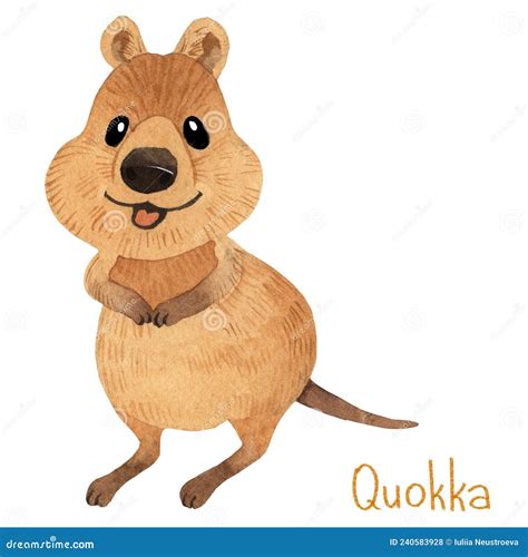 Smiling Australian Quokka Cute Kawaii Hand Drawn Watercolor Art