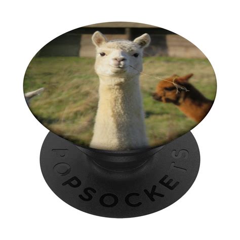 Funny Llama Face Llama Funny Face Printed Mask Lilbowpeepetc