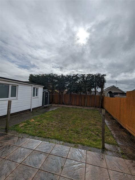 Client Site Conifer Hedge Reduction Beddow Tree Specialists