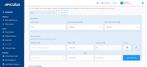 Creating Autoscale Groups Apiculus Technical Documentation
