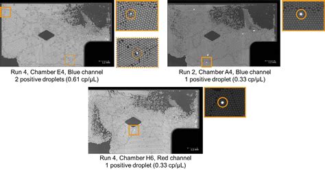 Ruby Chip — High Quality Crystal Digital Pcr™ Consumable Prevents Pcr Cross Contamination To