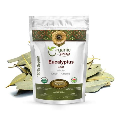Medicinal Eucalyptus