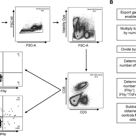 Overview Of Flow Cytometry Gating Strategy And Data Analysis A