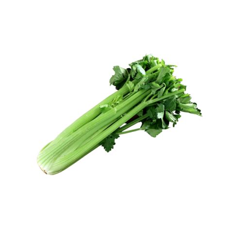 Celery Simple Example At Levi Bird Blog