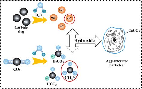 Schematic Of Instantaneous Mass Transfer Near The Gas Slurry Interface