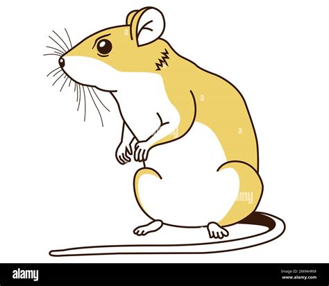 Realistic Field Mouse Malicious Rodent Flat Vector Illustration Stock