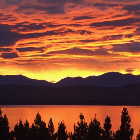 Mina Azimi Masters Student Msc Of Nanobiotechnology