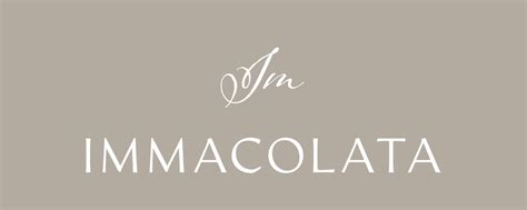 IM женские костюмы | IMMACOLATA - бренд женской одежды отражает ...