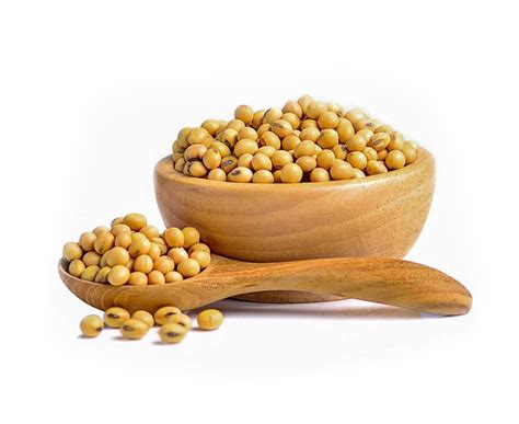 Cappacale Soya Bean Soya Bean Dana High Protein And Natural 500g