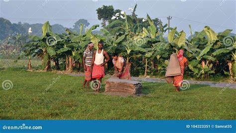 Gente Que Trabaja En El Pueblo Foto Editorial Imagen De Cubo Pista