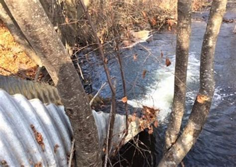 Greenacres Culvert Outfall 1 