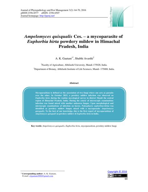 Pdf Ampelomyces Quisqualis Ces A Mycoparasite Of Euphorbia Hirta