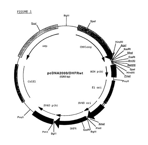Human System Patented Technology Retrieval Search Results Eureka Patsnap