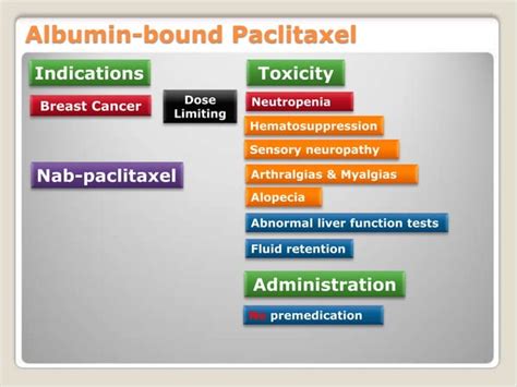 Mitotic Spindle Agents Ppt