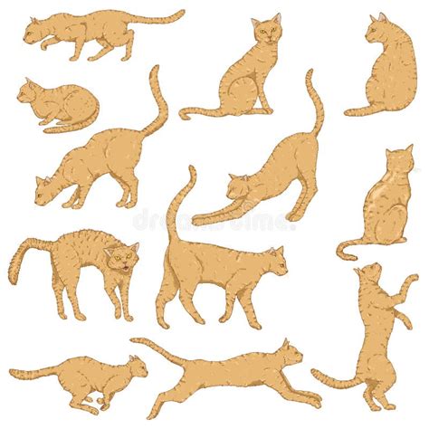 Set 12 Cats With Different Emotions Handmade Cute Emoticon Cat Stock