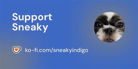 Support Sneaky