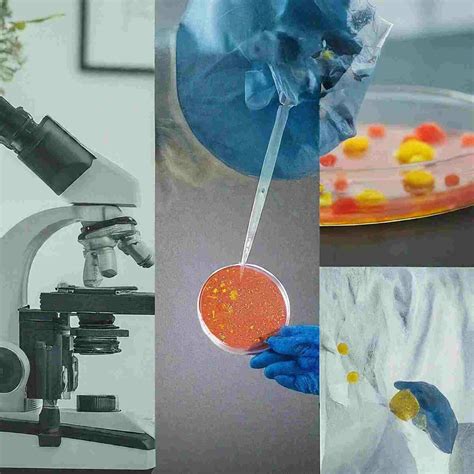 Are You Curious About Exploring Microbiology Techniques