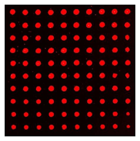 Representative Microarray Spot Images With Two Common Cyanine