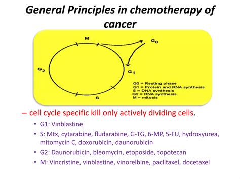 Anticancer Drugs 1 Introduction And Classification Pptx
