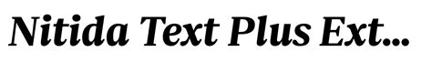 Nitida Text Plus Extra Bold Italic Font Webfont And Desktop Myfonts