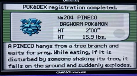 Pokémon Emerald Pineco Dex Youtube