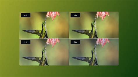 The 4 Best Streaming Resolution Settings Explained