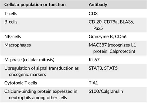 Table 3 From Acvim Consensus Statement Guidelines On Diagnosing And