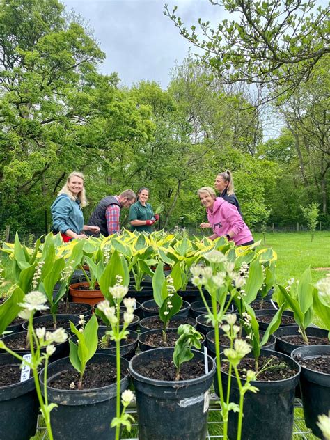 Armend Aljo Posted On Linkedin