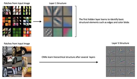 Convolutional Neural Network A Complete Guide