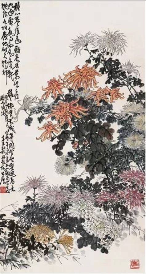 Japanese Chrysanthemum Wallpaper Chinese Chrysanthemum Wallpaper
