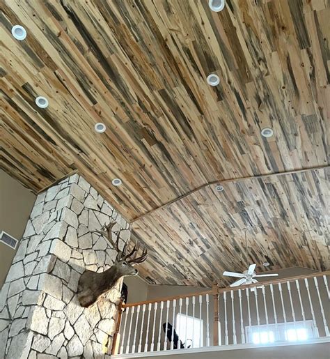 Beetle Kill Blue Stain Pine Tongue And Groove Ceilingwall Paneling