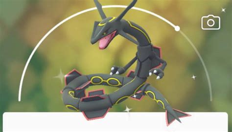 Rayquaza Returns To Pokemon Go In Weather Week Raid Date And Start Time