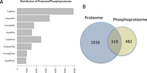 Quantitative Proteomic And Phosphoproteomic Comparison Of 2d And 3d