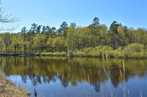 Premium Photo Spring River